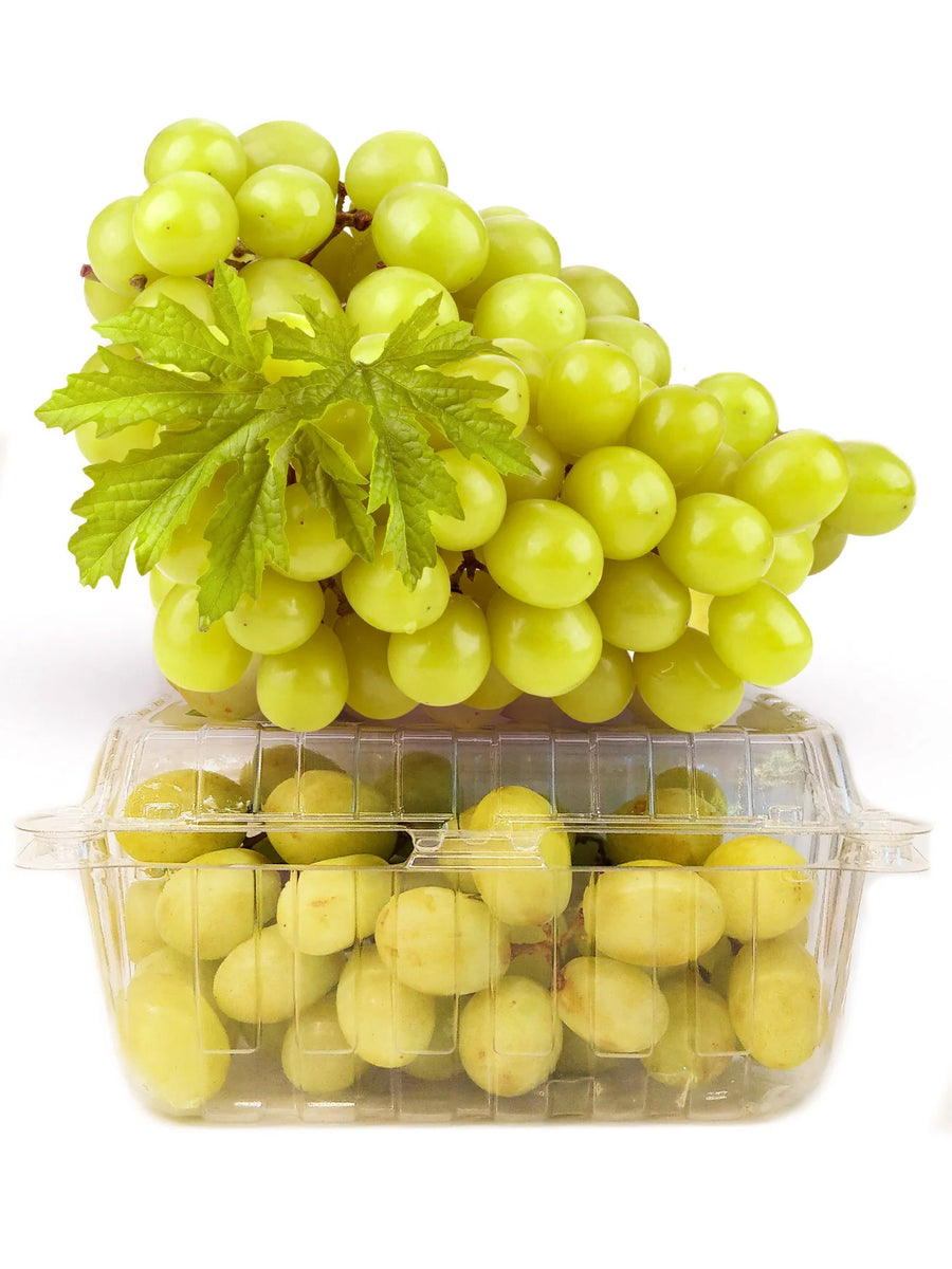 SOUTH AFRICA GREEN SEEDLESS GRAPE 500G – Village Grocer - Southkey